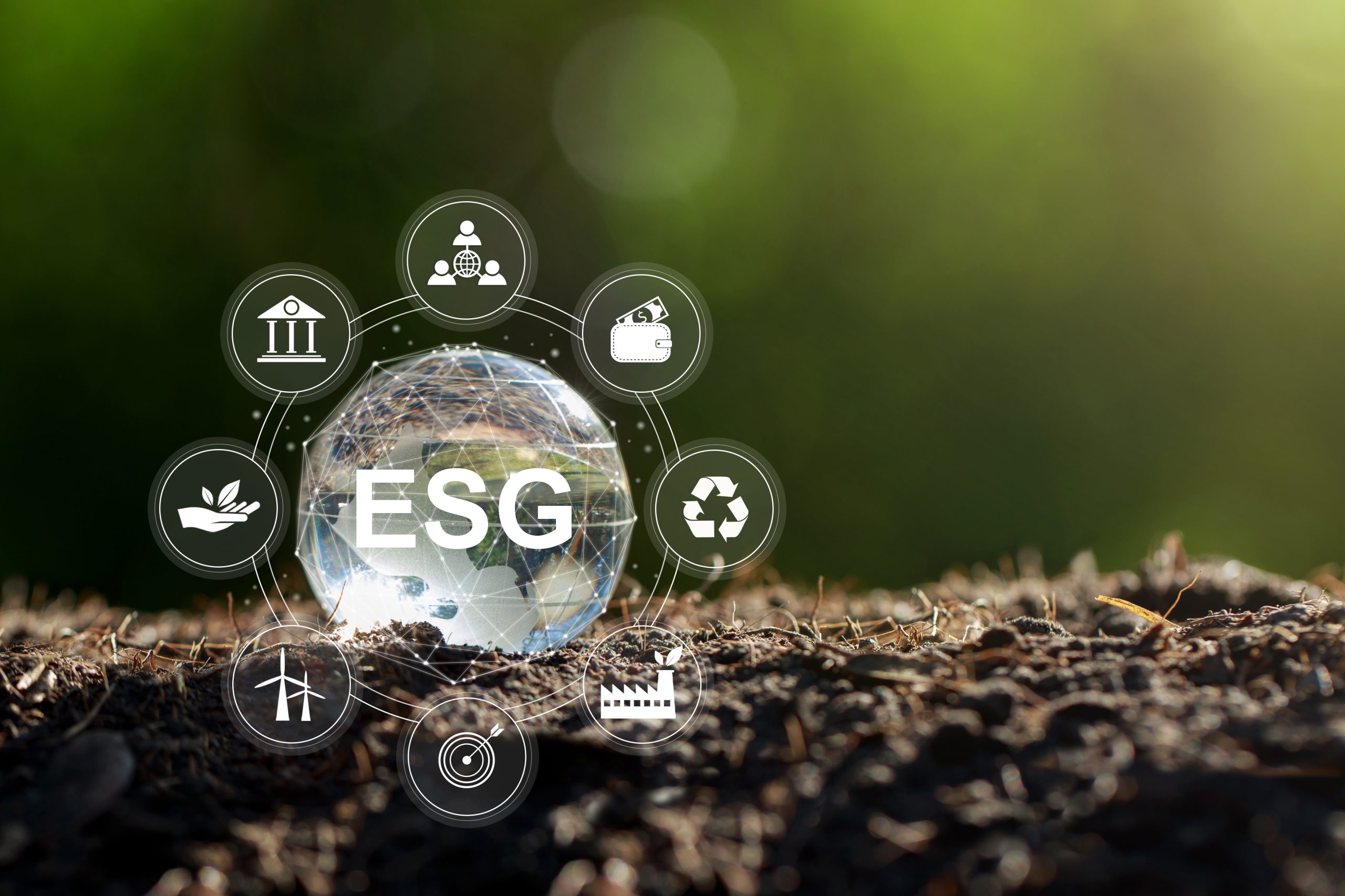 Fluid Feeder se prepara para aderir às práticas ESG
